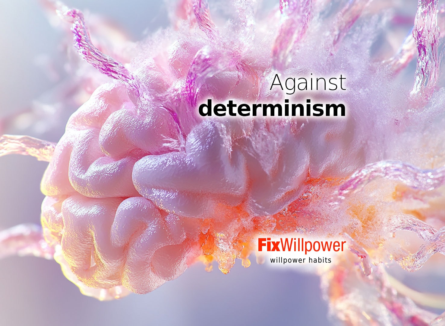 4 points science has against determinism - FixWillpower
