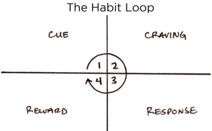 How The Power of Habits Gets You Results? [2 BOOKS+VIDEOS] - FixWillpower