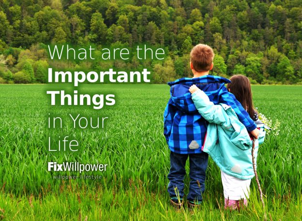 What are the Most Important Things in Life? [2025] - FixWillpower
